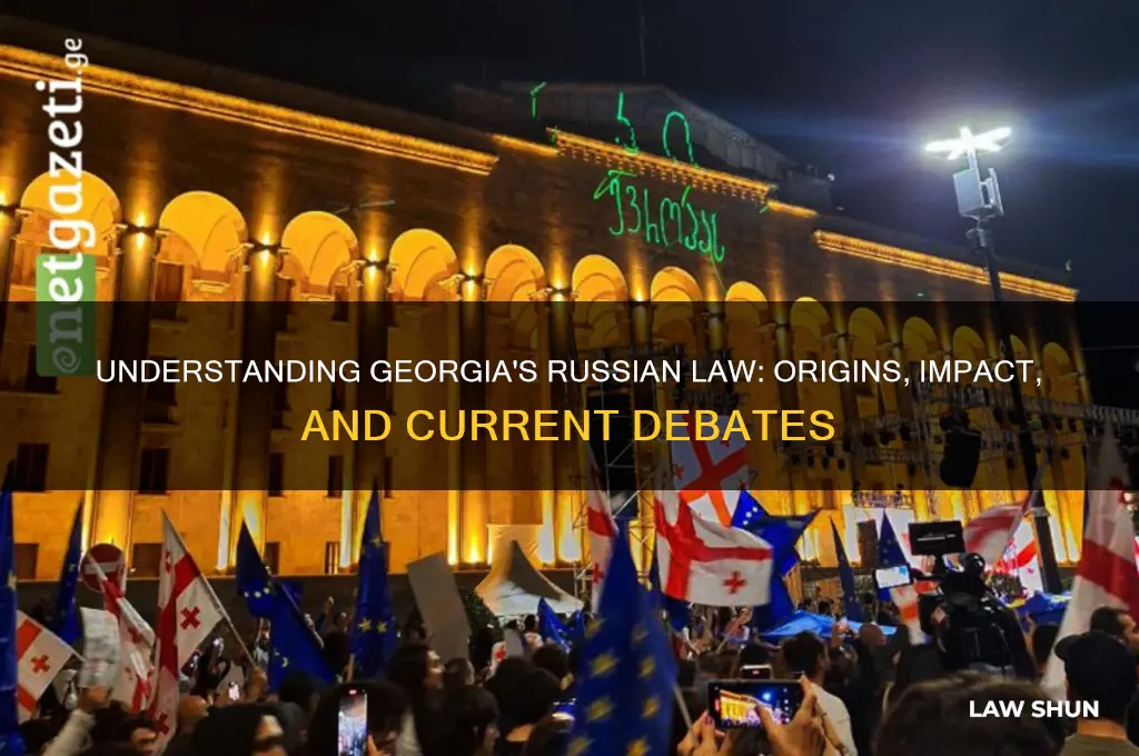 Understanding Georgia's Russian Law: Origins, Impact, And Current ...