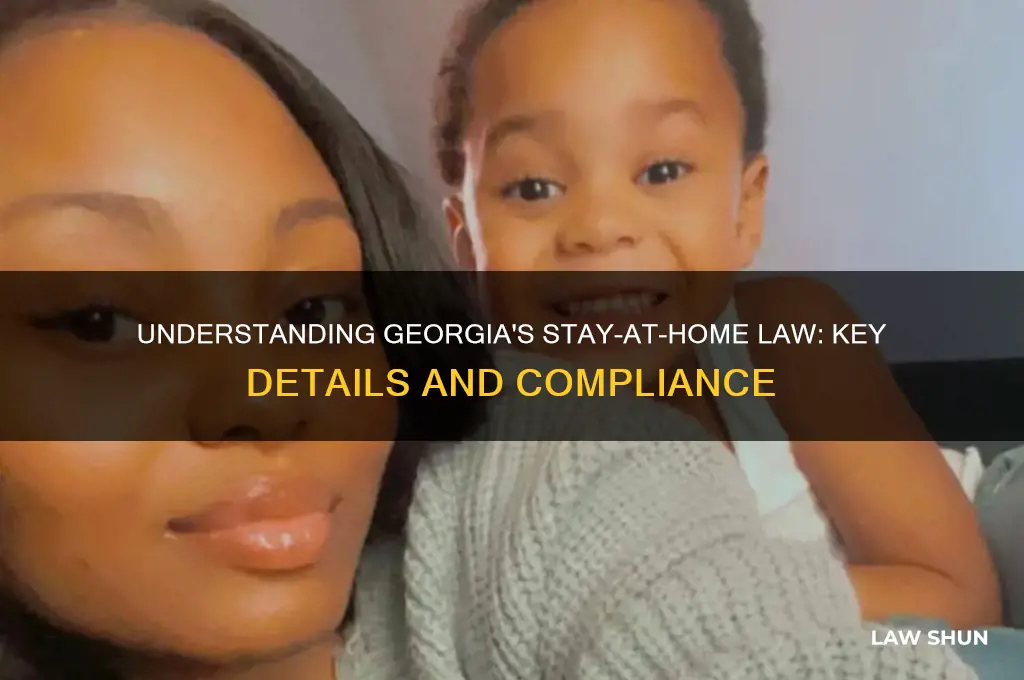 Understanding Georgia's Stay-At-Home Law: Key Details And Compliance ...