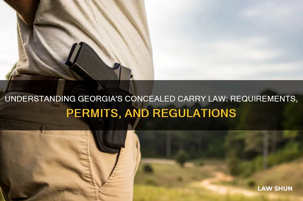 Understanding Georgia's Concealed Carry Law: Requirements, Permits, And ...