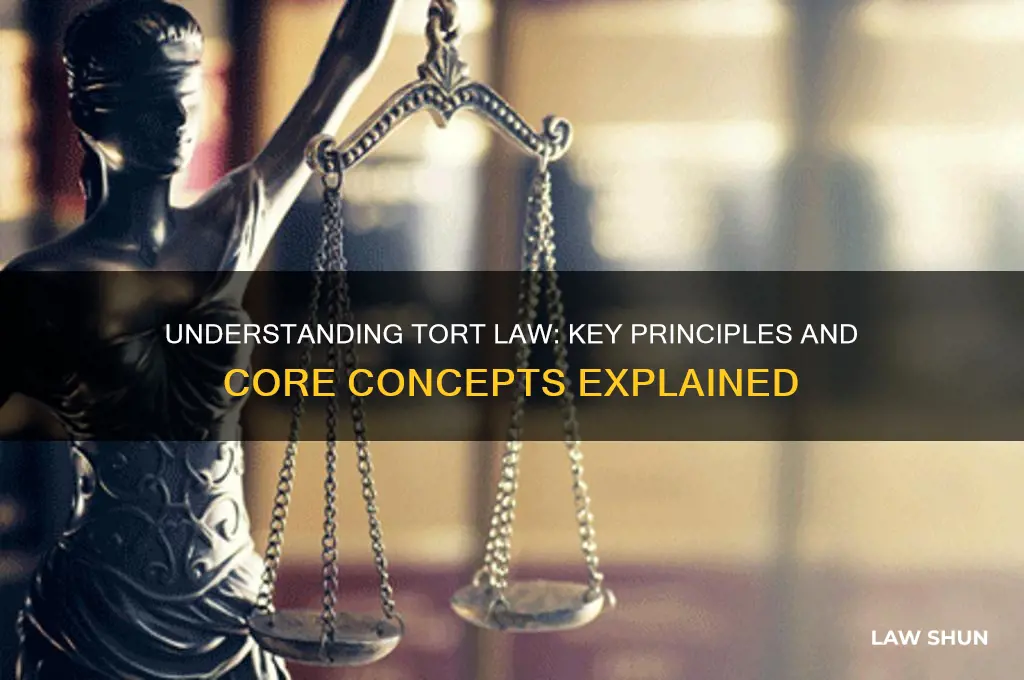 Understanding Tort Law: Key Principles And Core Concepts Explained ...