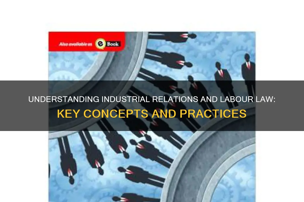 Understanding Industrial Relations And Labour Law: Key Concepts And ...