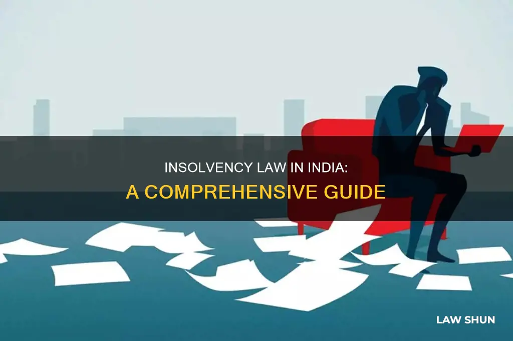 Insolvency Law In India: A Comprehensive Guide | LawShun