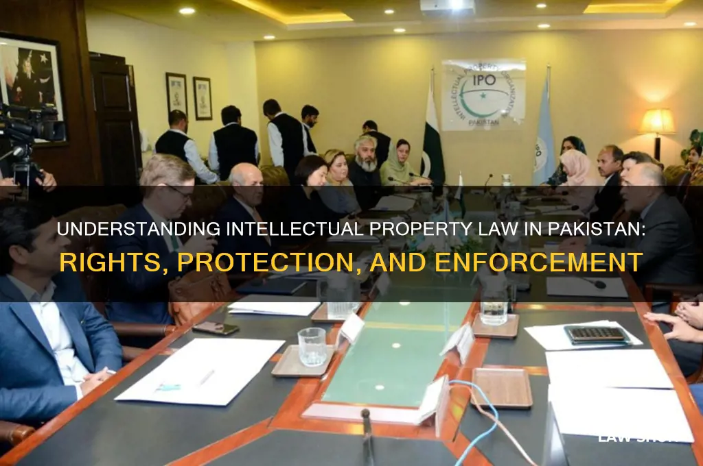 Understanding Intellectual Property Law In Pakistan: Rights, Protection ...