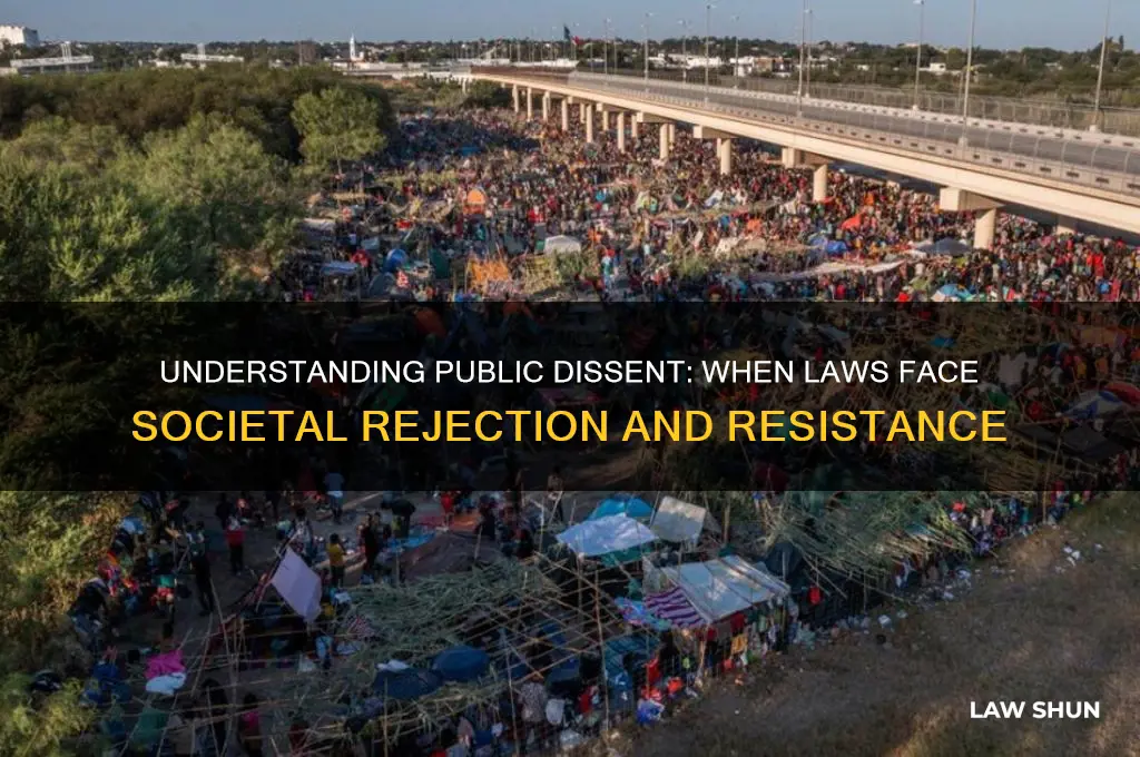 Understanding Public Dissent: When Laws Face Societal Rejection And ...
