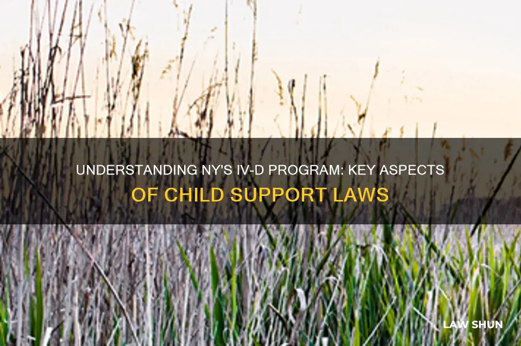 Understanding Ny's Iv-D Program: Key Aspects Of Child Support Laws ...