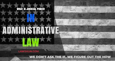 Understanding Discretionary Power In Administrative Law: Key Concepts ...