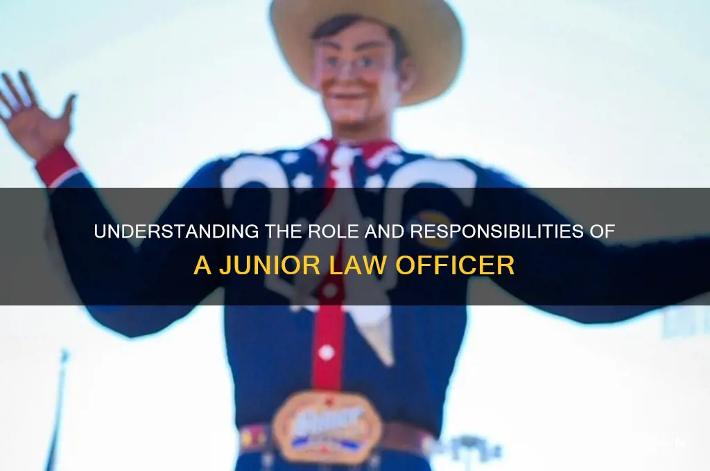 Understanding The Role And Responsibilities Of A Junior Law Officer ...