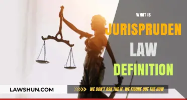 Understanding Immunity Definition In Law: Key Concepts And Legal ...