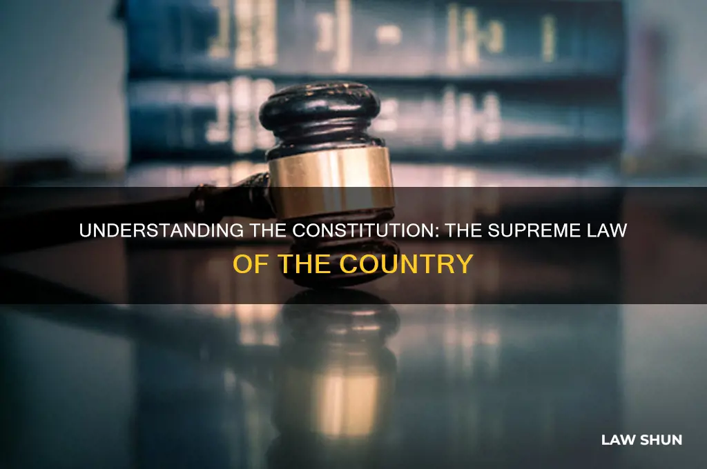 Understanding The Constitution: The Supreme Law Of The Country | LawShun