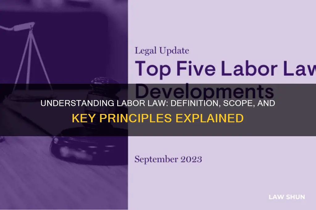 Understanding Labor Law: Definition, Scope, And Key Principles ...