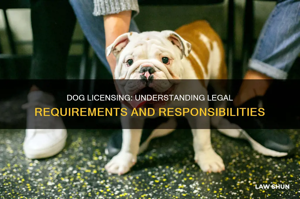 Dog Licensing: Understanding Legal Requirements And Responsibilities ...