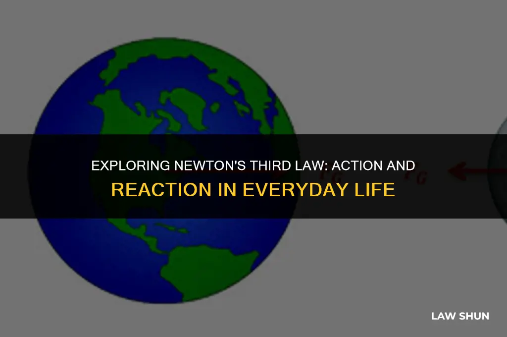 Exploring Newton's Third Law: Action And Reaction In Everyday Life ...