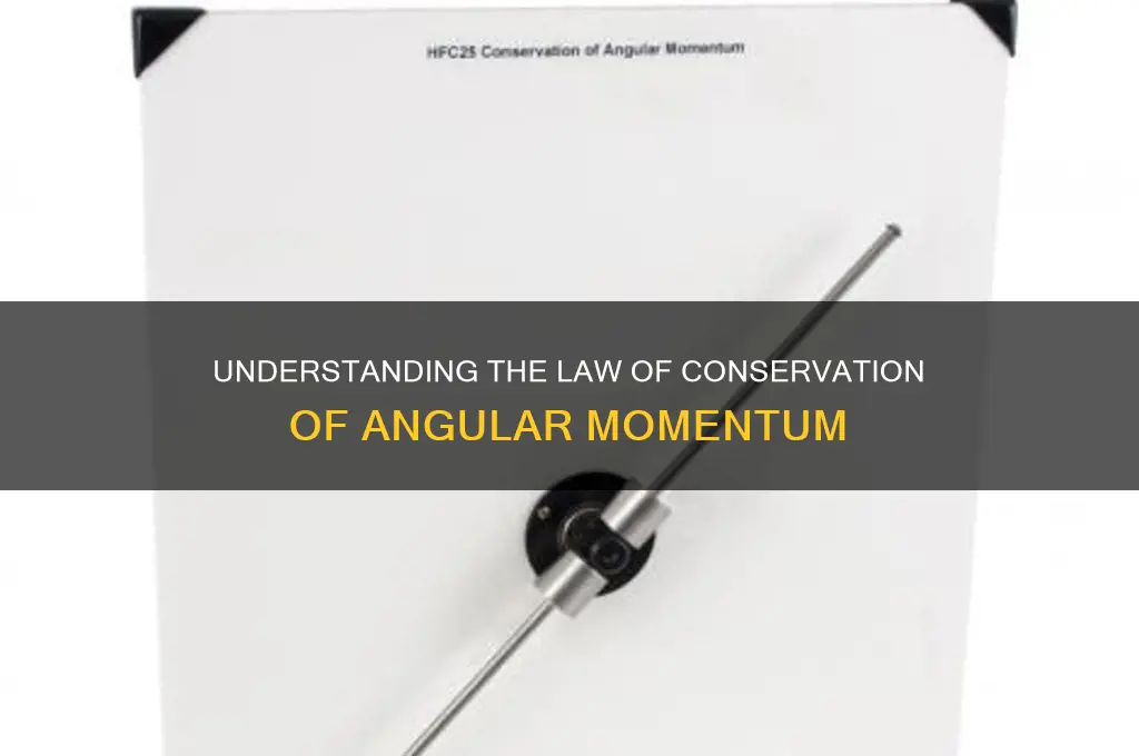 Understanding The Law Of Conservation Of Angular Momentum | LawShun