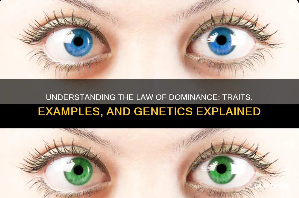 Understanding The Law Of Dominance: Traits, Examples, And Genetics ...