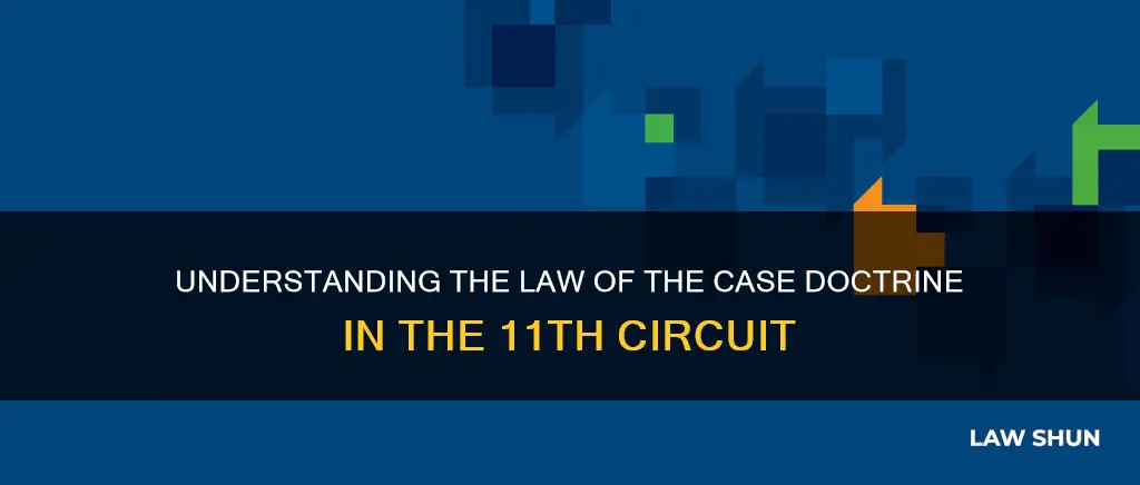 Understanding The Law Of The Case Doctrine In The 11Th Circuit | LawShun