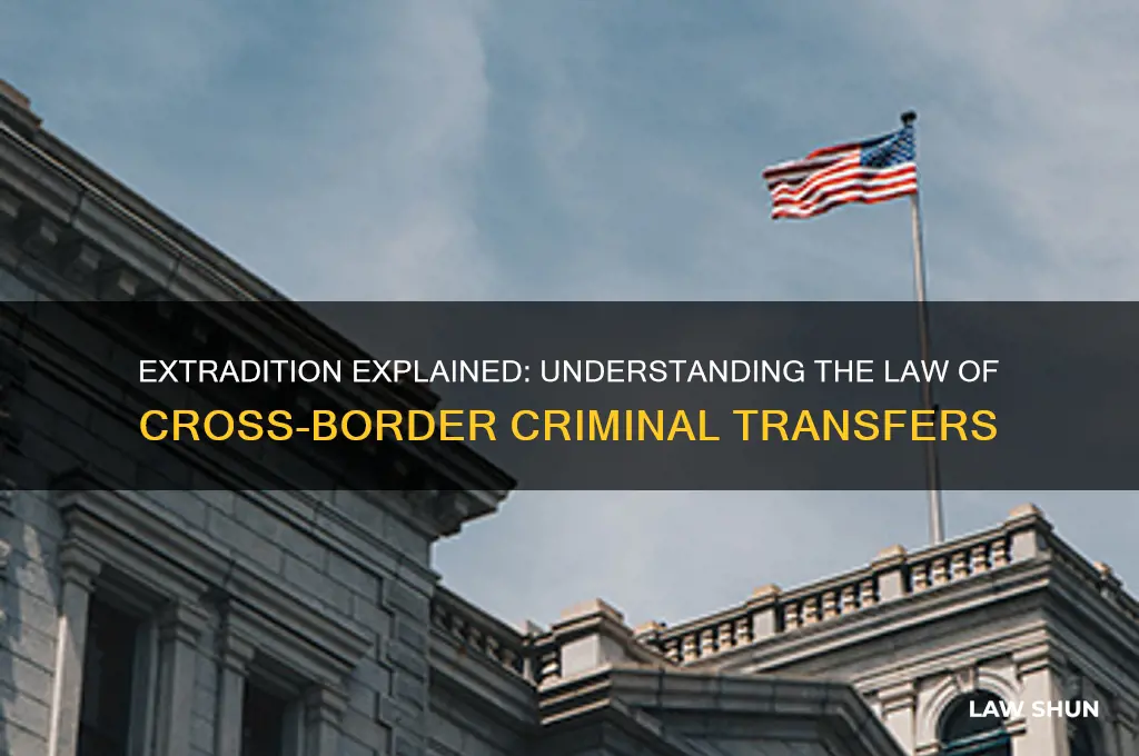 Extradition Explained: Understanding The Law Of Cross-Border Criminal ...