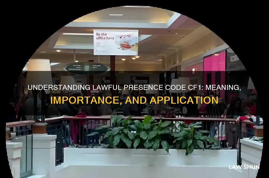 Understanding Lawful Presence Code Cf1: Meaning, Importance, And ...