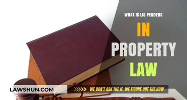 Understanding Land In Property Law: Definitions, Rights, And Ownership ...