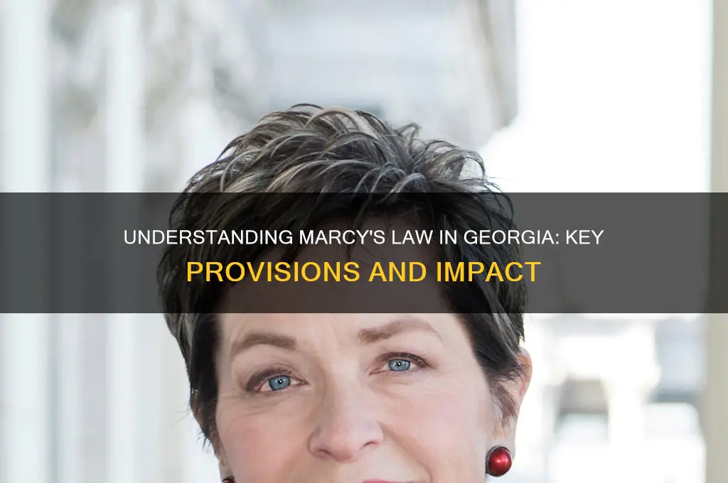 Understanding Marcy's Law In Georgia: Key Provisions And Impact | LawShun