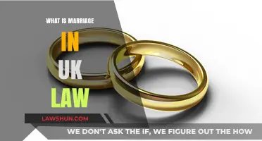 Statute Law In The Uk: Understanding The Basics | LawShun