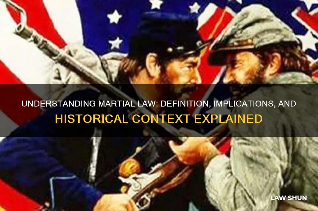 Understanding Martial Law: Definition, Implications, And Historical ...