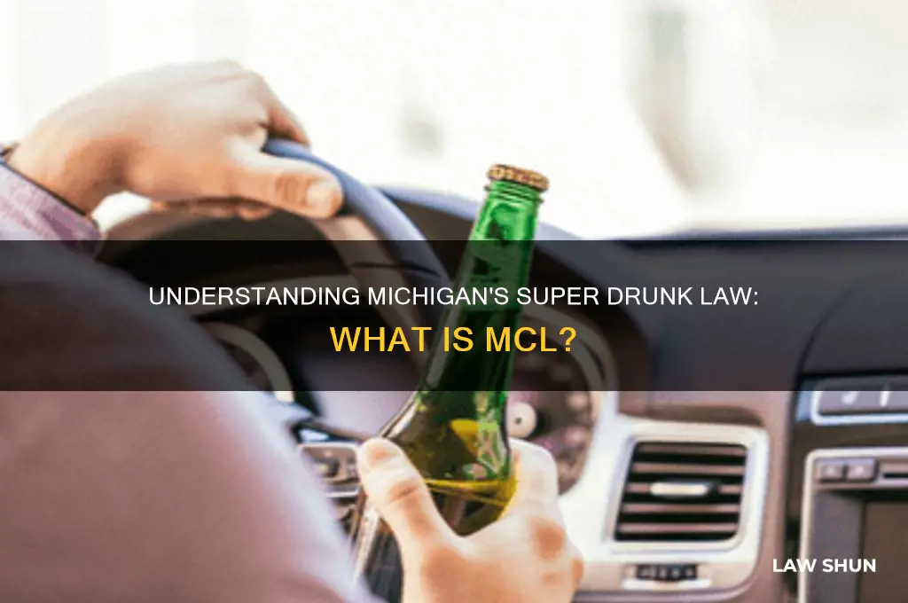Understanding Michigan's Super Drunk Law: What Is Mcl? | LawShun