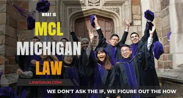 Understanding Michigan's Drunk Driving Laws: Penalties, Limits, And ...