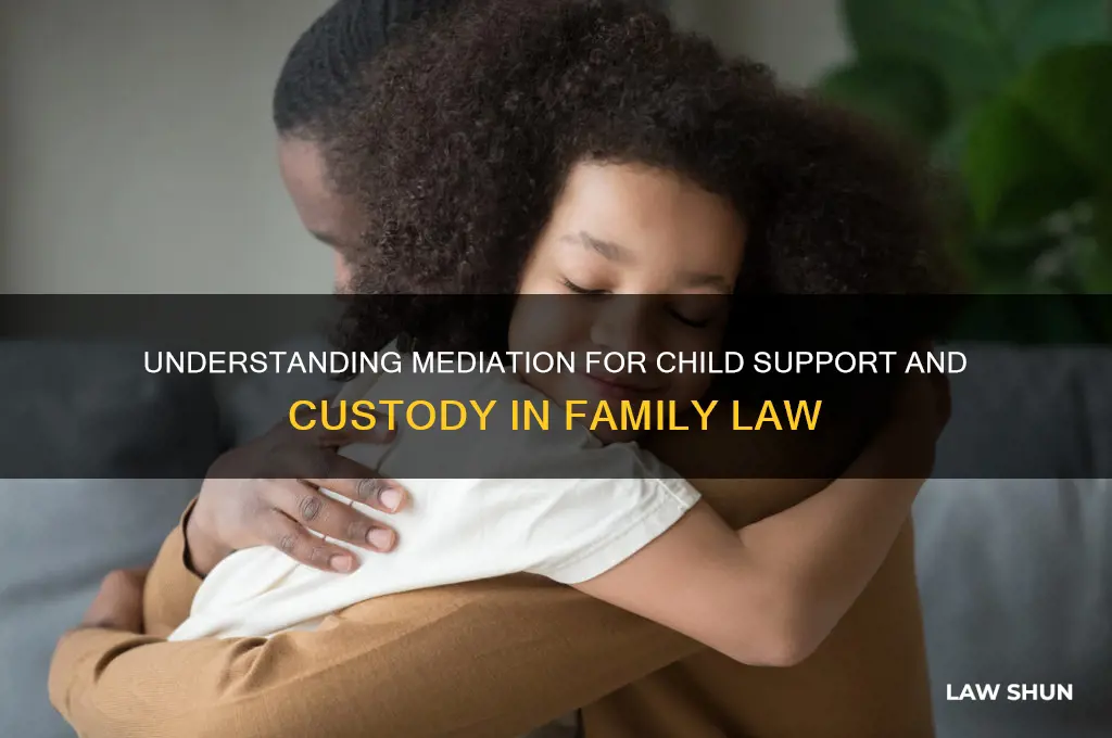 Understanding Mediation For Child Support And Custody In Family Law ...