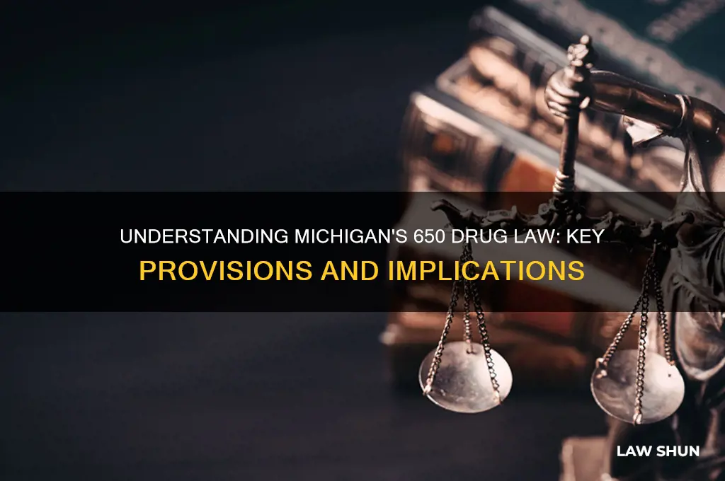 Understanding Michigan's 650 Drug Law: Key Provisions And Implications ...
