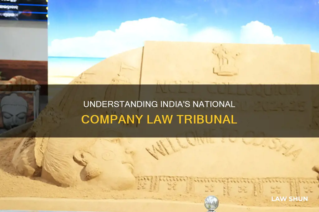 Understanding India's National Company Law Tribunal | LawShun