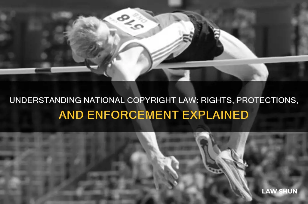 Understanding National Copyright Law: Rights, Protections, And ...