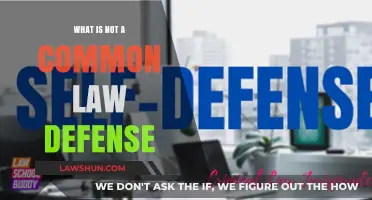 Common Law Uk: Understanding The Basics | LawShun