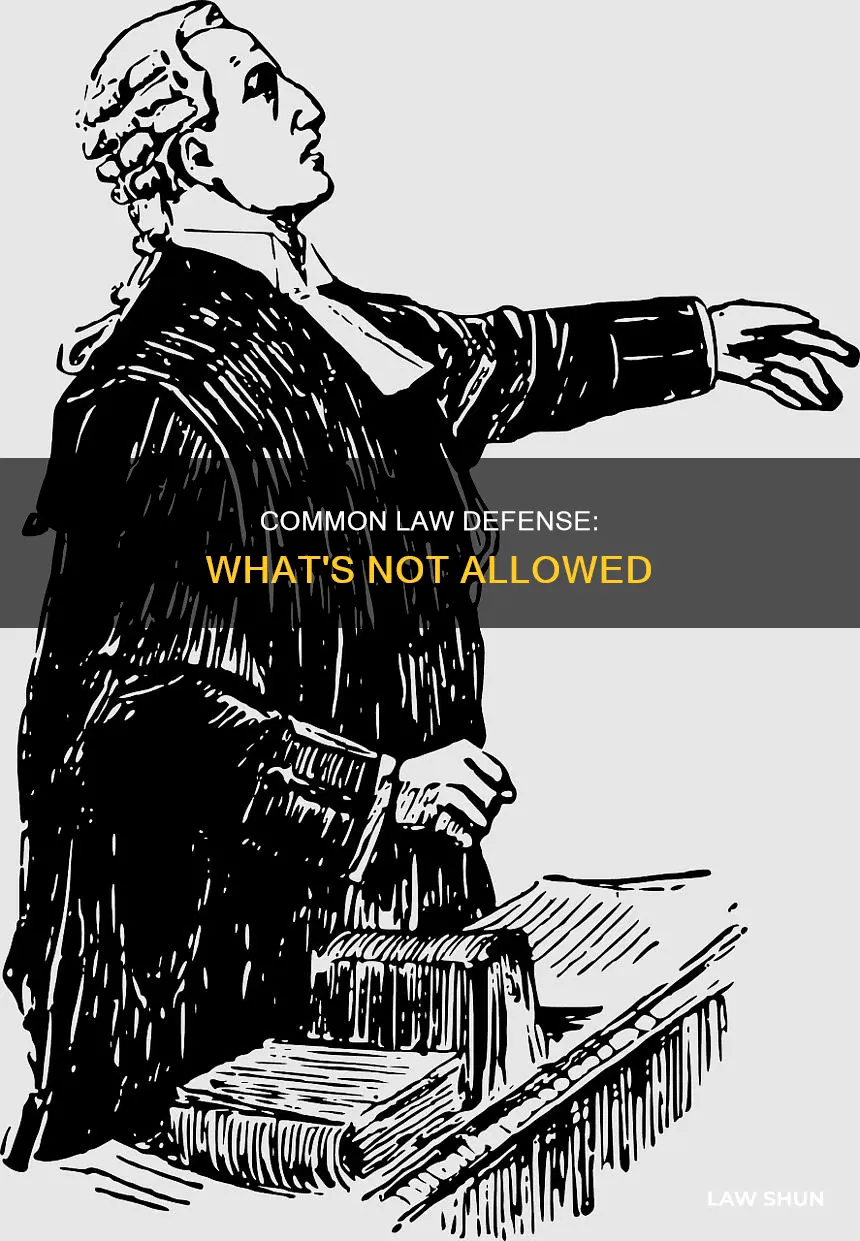 Common Law Defense: What's Not Allowed | LawShun