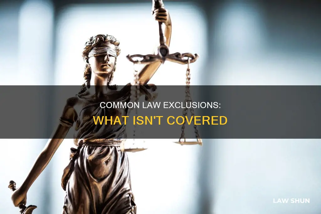 Common Law Exclusions: What Isn't Covered | LawShun