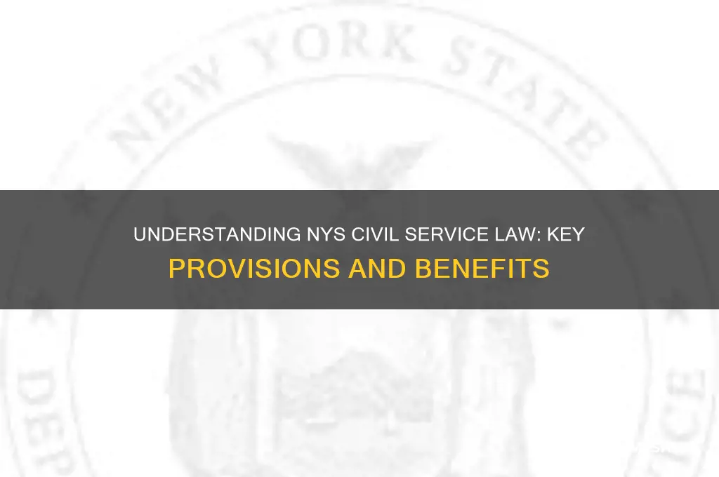 Understanding Nys Civil Service Law: Key Provisions And Benefits | LawShun