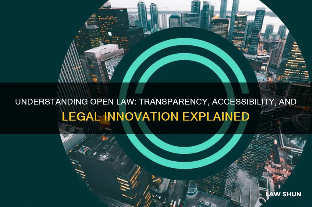 Understanding Open Law: Transparency, Accessibility, And Legal ...