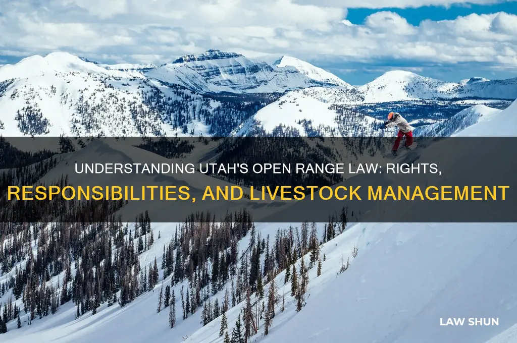 Understanding Utah's Open Range Law: Rights, Responsibilities, And ...