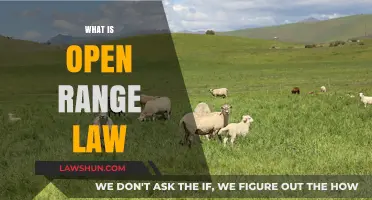 Exploring Global Laws: Which Country Allows Public Masturbation? | LawShun