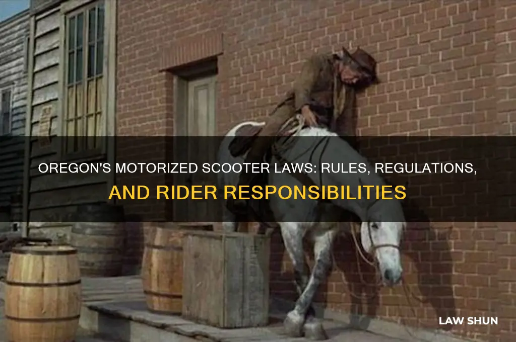 Oregon's Motorized Scooter Laws: Rules, Regulations, And Rider ...