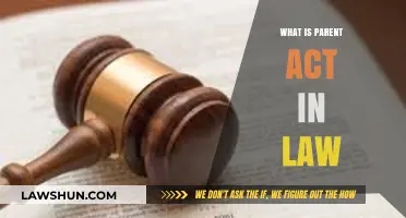 Understanding Overt Acts: Legal Definition And Implications Explained ...