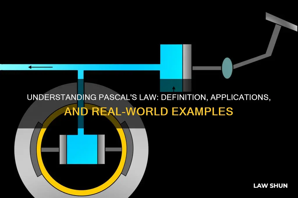 Understanding Pascal's Law: Definition, Applications, And Real-World ...
