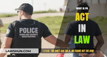 Understanding Overt Acts: Legal Definition And Implications Explained ...
