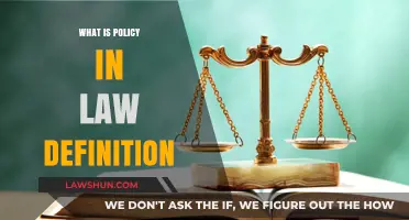 Understanding Primary Law: Definition, Sources, And Legal Significance ...