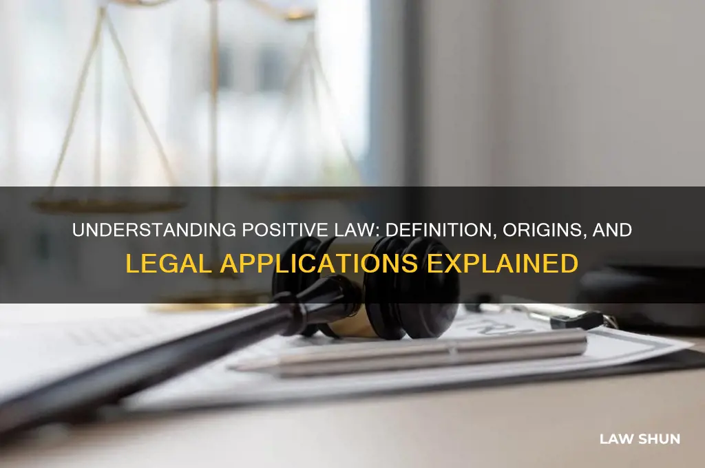 Understanding Positive Law: Definition, Origins, And Legal Applications ...