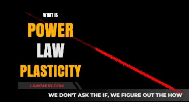 Understanding Plenary Power: Legal Authority And Its Broad Implications ...