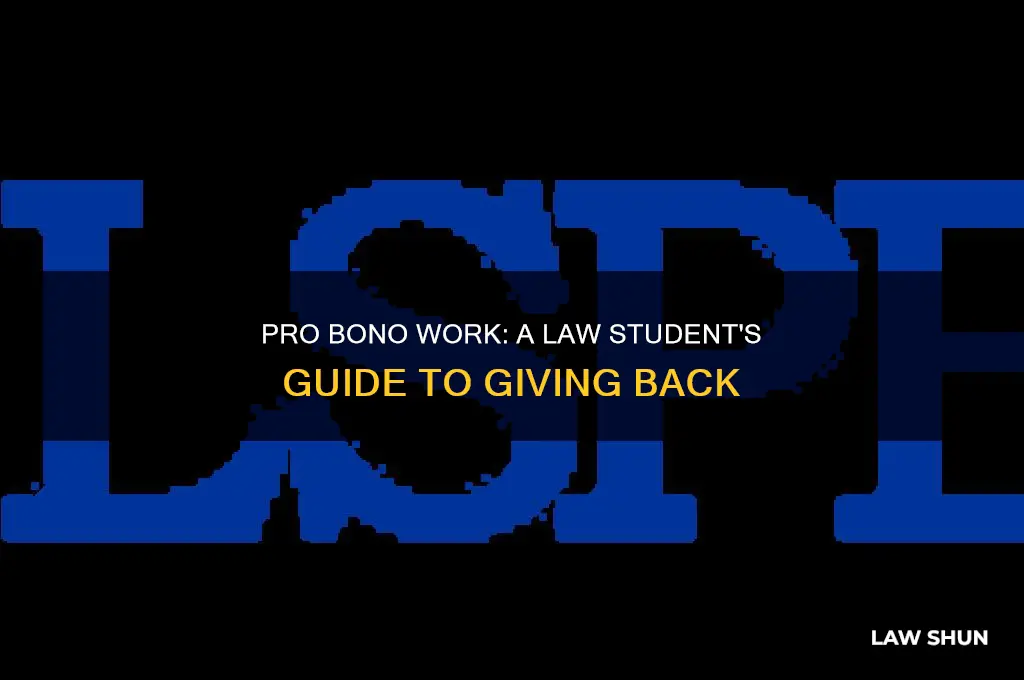 Pro Bono Work: A Law Student's Guide To Giving Back | LawShun