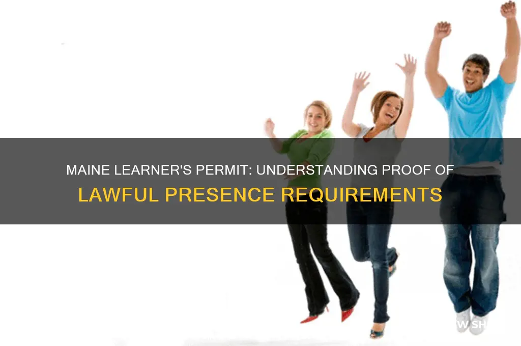 Maine Learner's Permit: Understanding Proof Of Lawful Presence ...