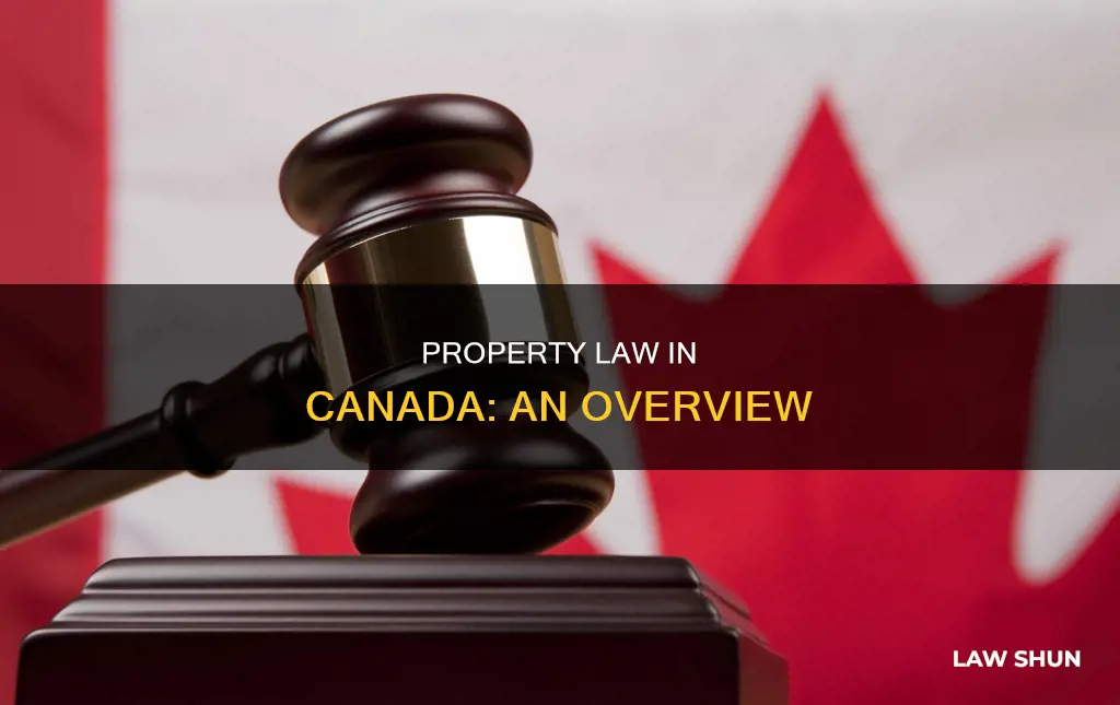 Property Law In Canada: An Overview | LawShun