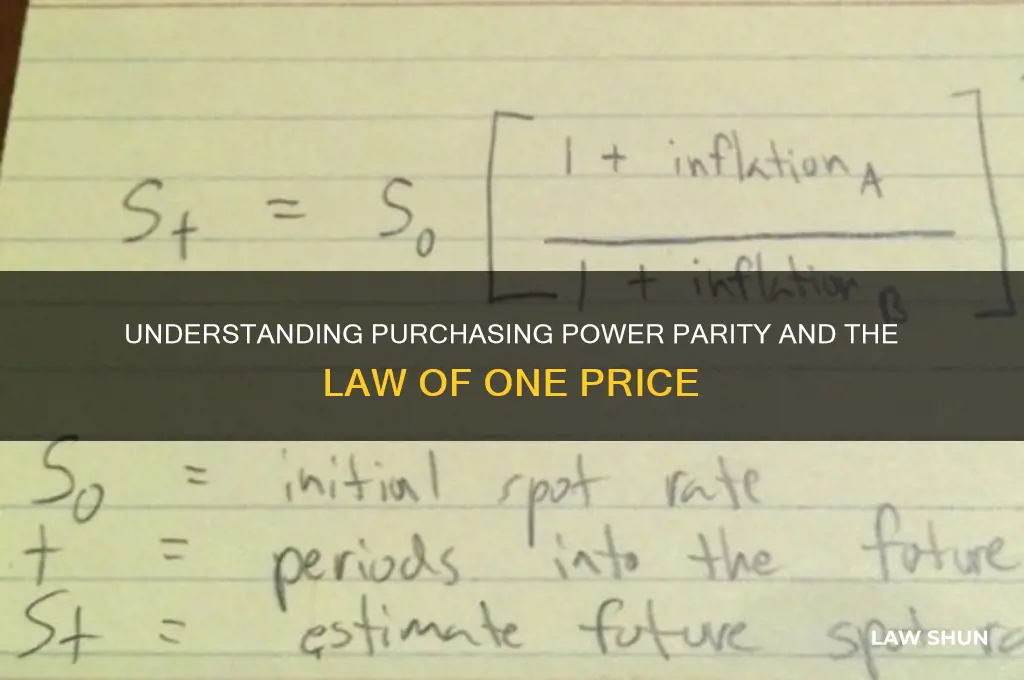 Understanding Purchasing Power Parity And The Law Of One Price | LawShun