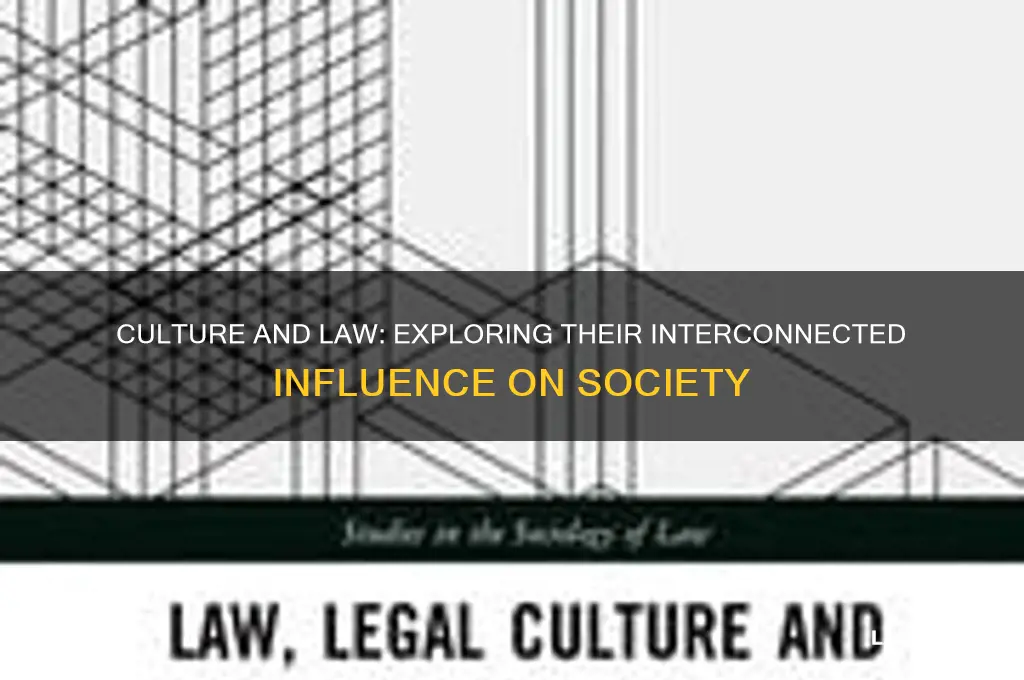 Culture And Law: Exploring Their Interconnected Influence On Society ...